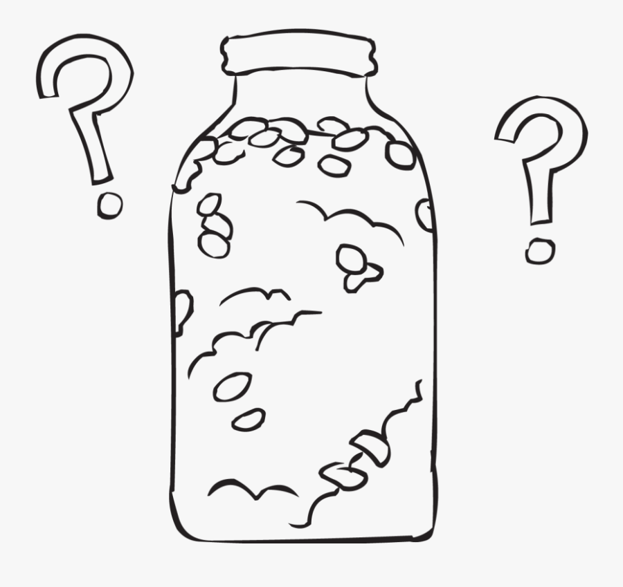 Transparent Pinto Beans Clipart - Drawing , Free Transparent Clipart ...