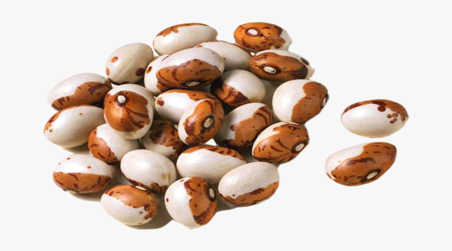 Kidney Beans Png , Free Transparent Clipart - ClipartKey
