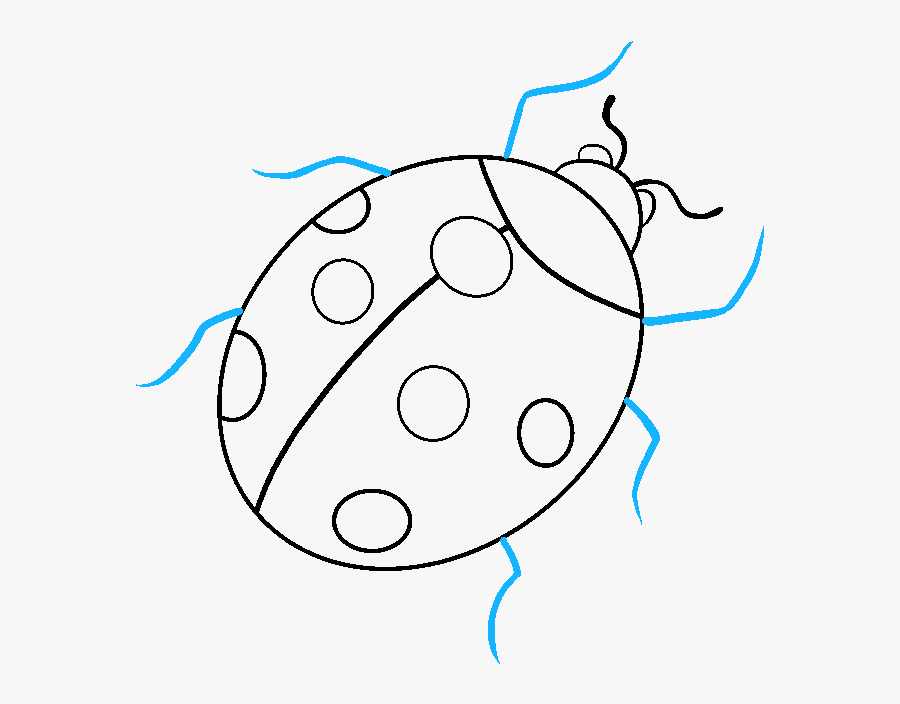 How To Draw A Ladybug - Line Art , Free Transparent Clipart - ClipartKey
