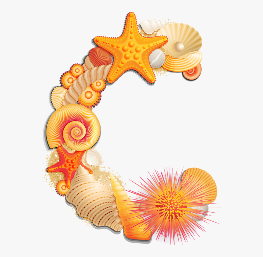 Beach Letter C - Letter A Seashell Png , Free Transparent Clipart ...