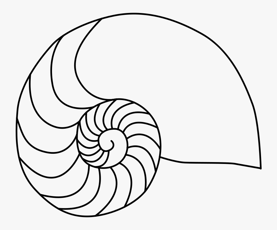 Shell Clipart Outline - Shell Clipart Black And White Png , Free ...