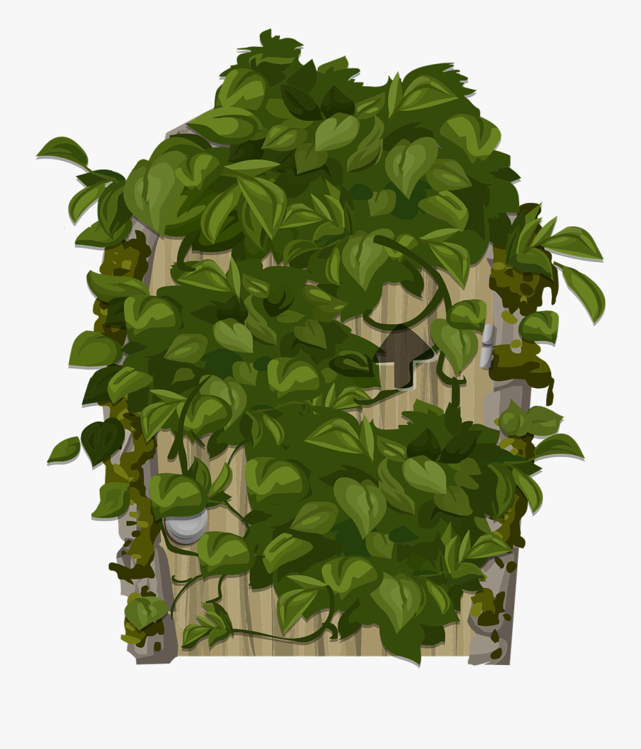 Roses Climbing Transparent Png , Free Transparent Clipart - ClipartKey