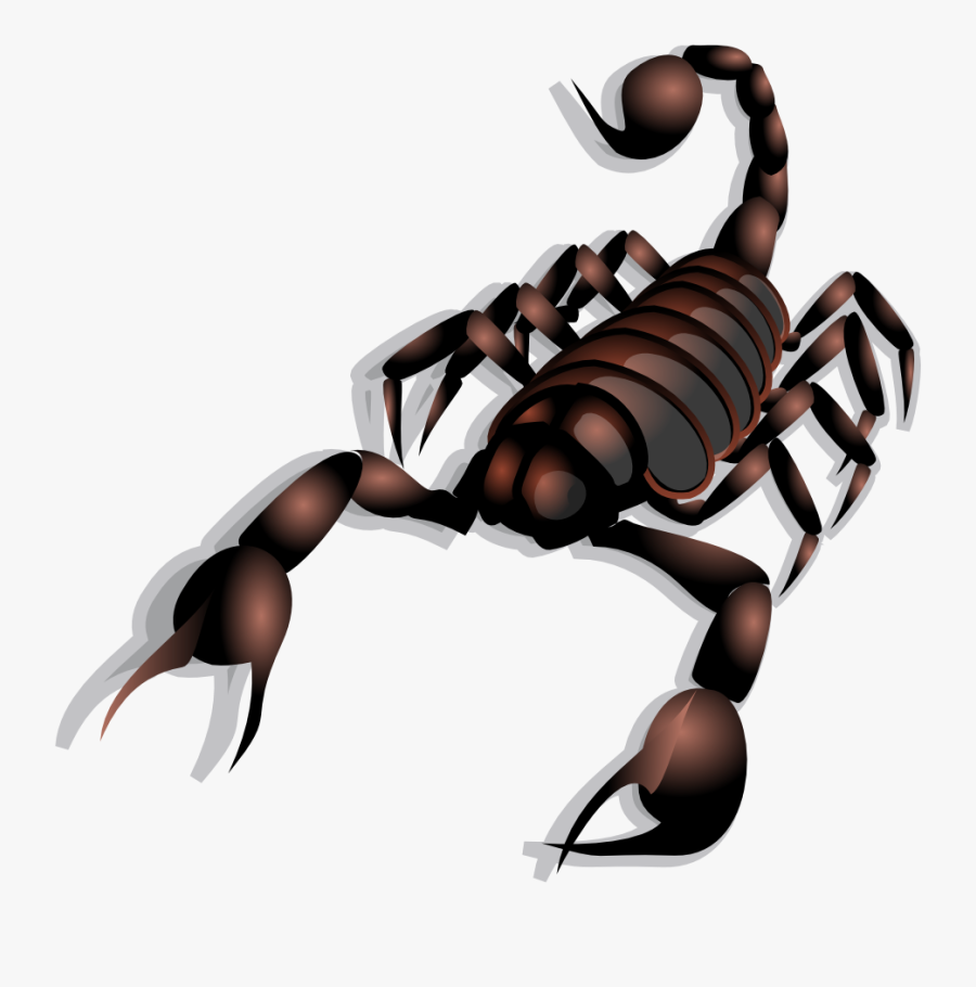 Scorpion Clip Art , Free Transparent Clipart - ClipartKey