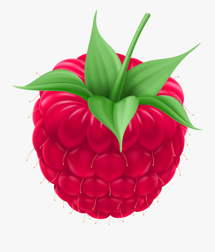 Png Clip Art Image - Raspberry Clipart , Free Transparent Clipart ...