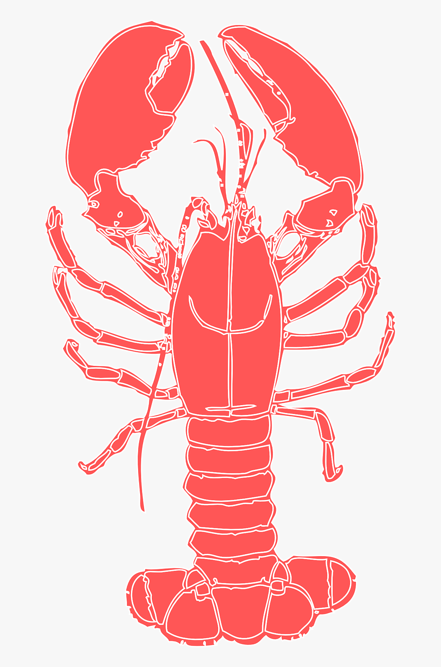 Lobster Crustacean Crab Crayfish Png Image - Transparent Background ...