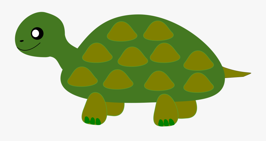 Clipart Turtle Basic - Cartoon , Free Transparent Clipart - ClipartKey