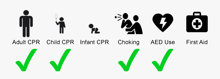 American Heart Association Bls Cpr Provider Training , Free Transparent ...