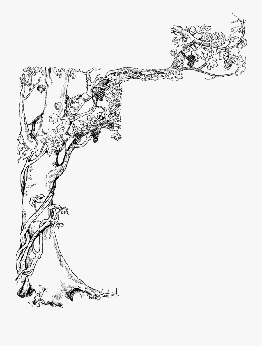 Free Vintage Decorative Corner Design - Vine Growing Up Drawing , Free ...