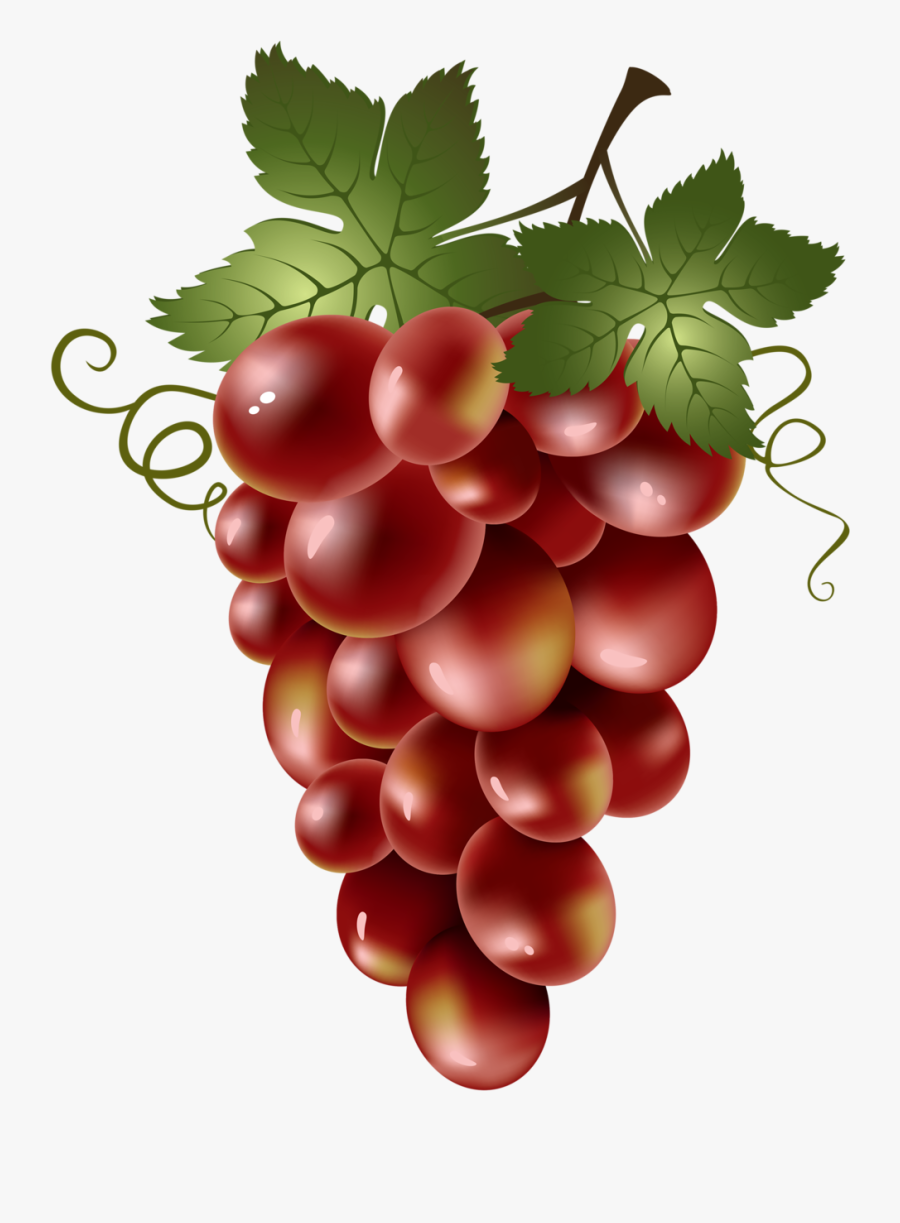 Red Grapes Clip Art , Png Download - Green Grapes Clipart Png , Free ...