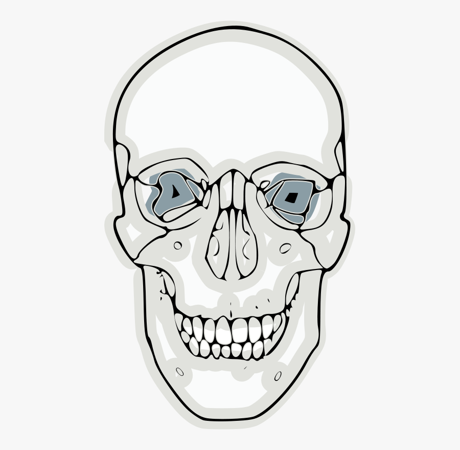 Line Art,head,skull - Blank Anterior Diagram Of Skull , Free ...