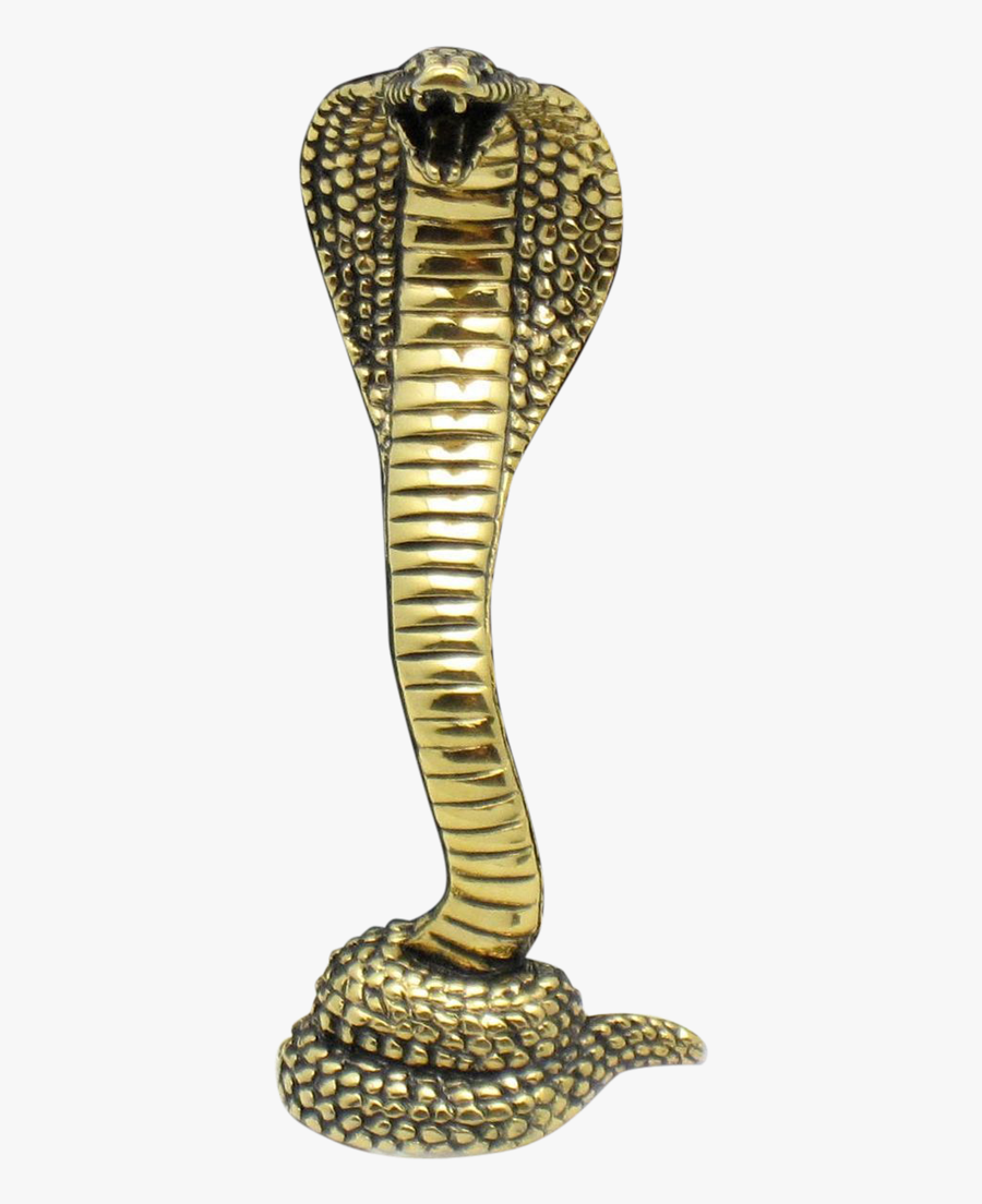 Nag Png , Free Transparent Clipart - ClipartKey