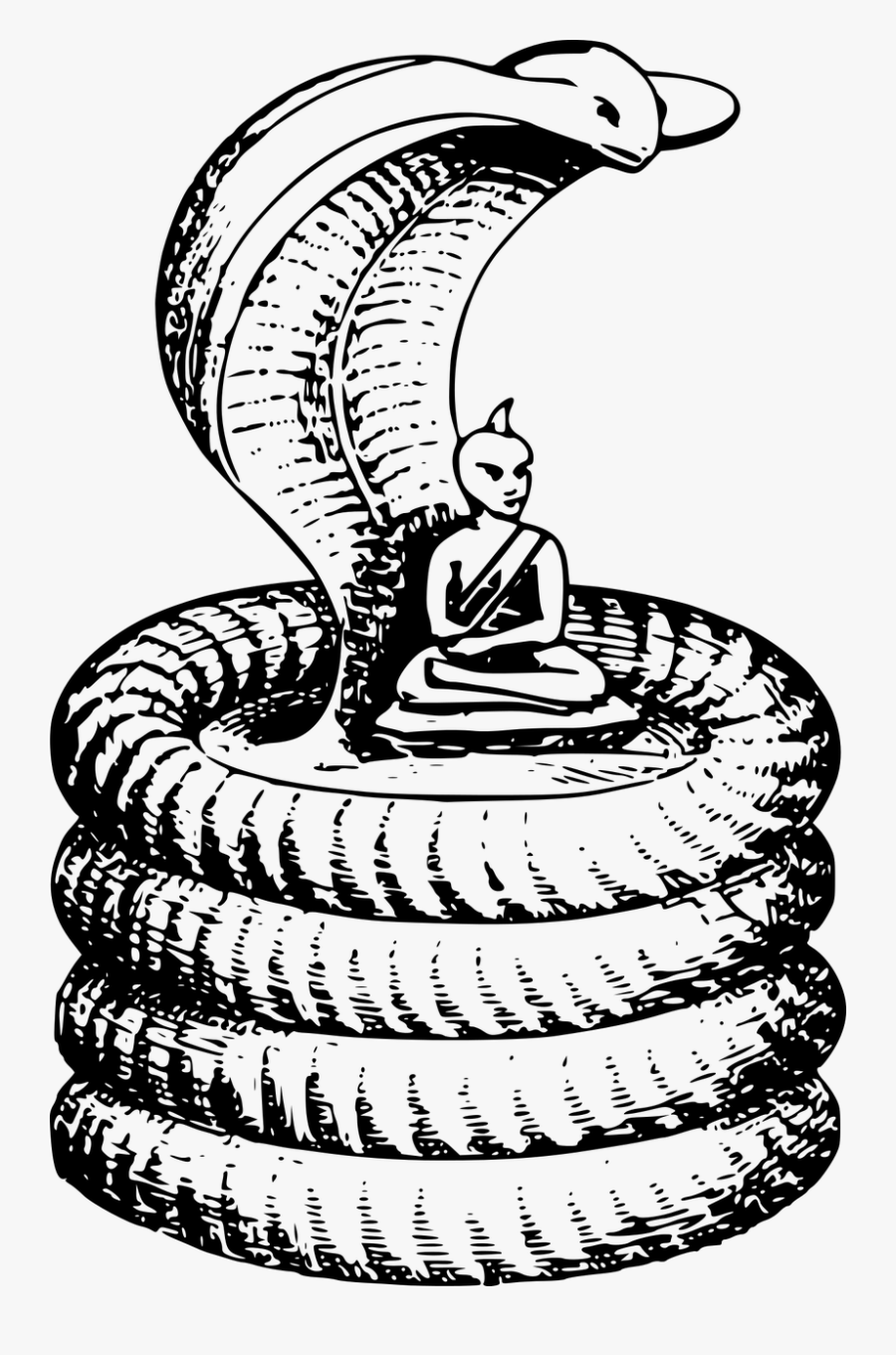 Buddha Cobra Reptile Sage Snake Png Image - Drawing Ofsnake Png , Free ...