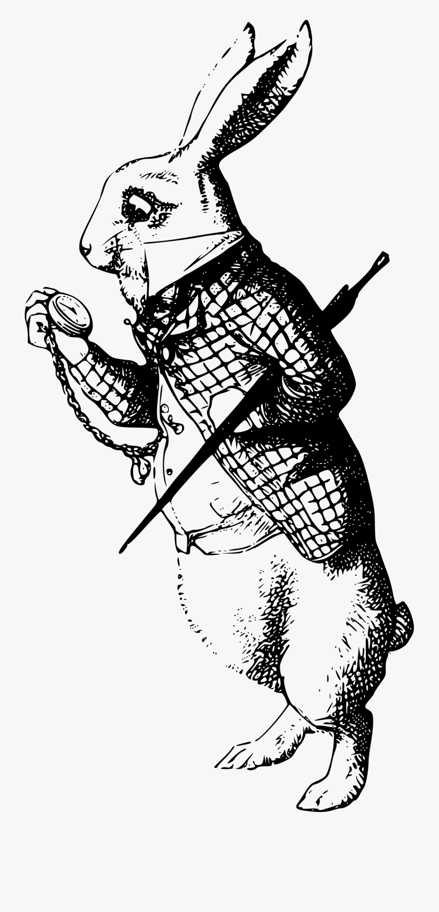 Rabbit With Pocket Watch , Free Transparent Clipart - ClipartKey