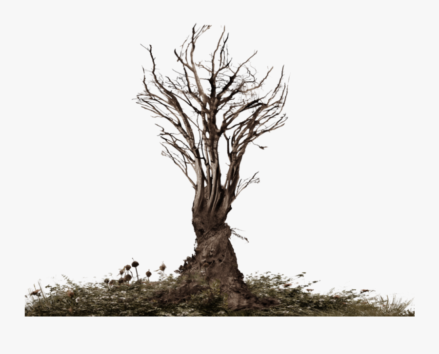 Roots Tree Png Clipart - Dead Tree Png , Free Transparent Clipart ...
