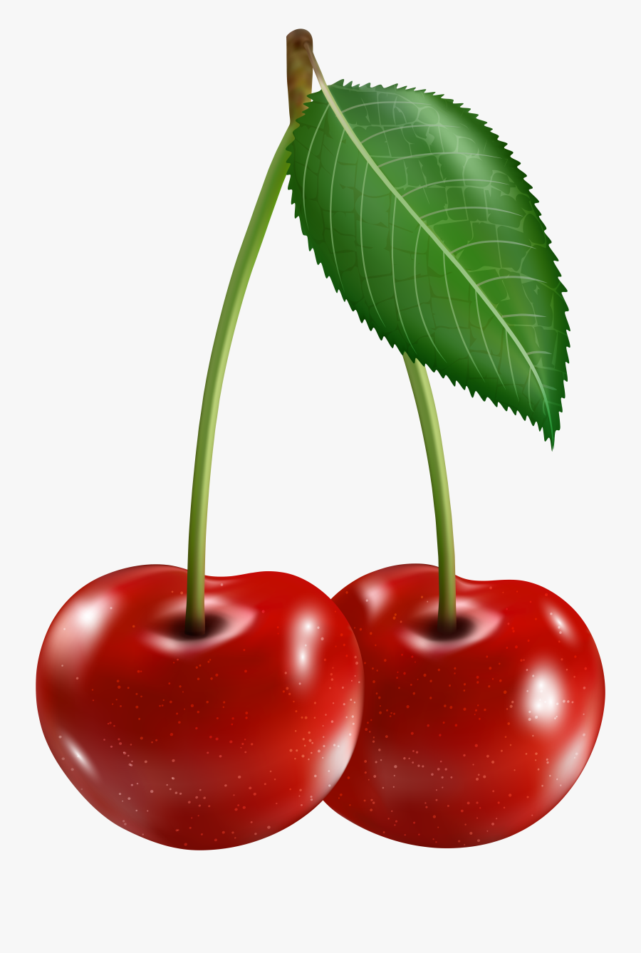 Cherry Clipart Image - Transparent Background Cherry Clipart , Free ...