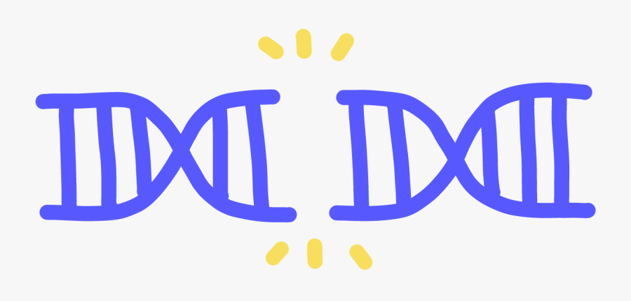 Image Of A Double Stranded Break In The Center Of A - Dna Double Strand ...