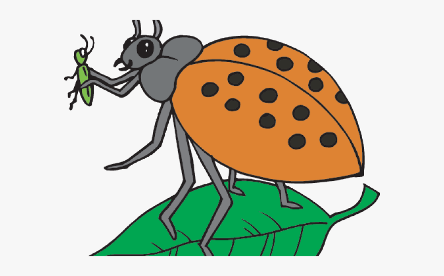 Scientist Clipart Insect - Cartoon , Free Transparent Clipart - ClipartKey