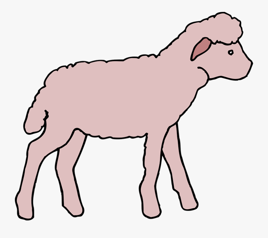 Portable Network Graphics , Free Transparent Clipart - ClipartKey