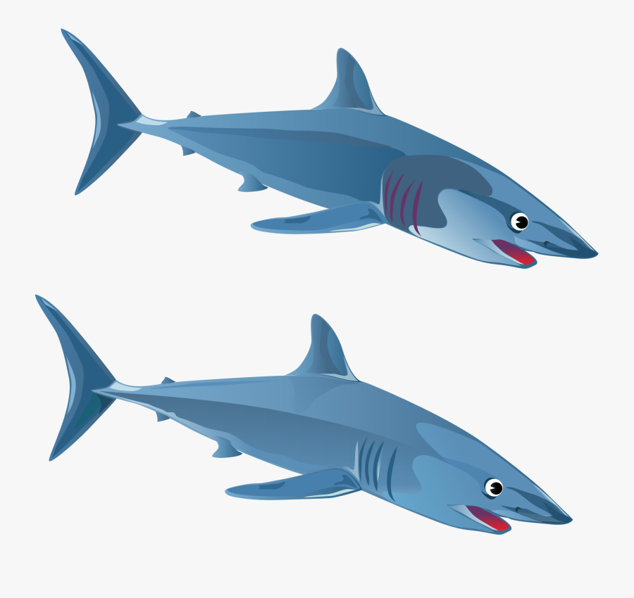 Blue Shark - Two Shark Picture Cartoon , Free Transparent Clipart ...