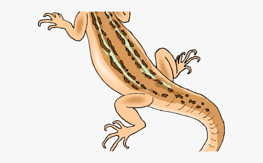 Transparent Background Lizard Clipart , Free Transparent Clipart ...