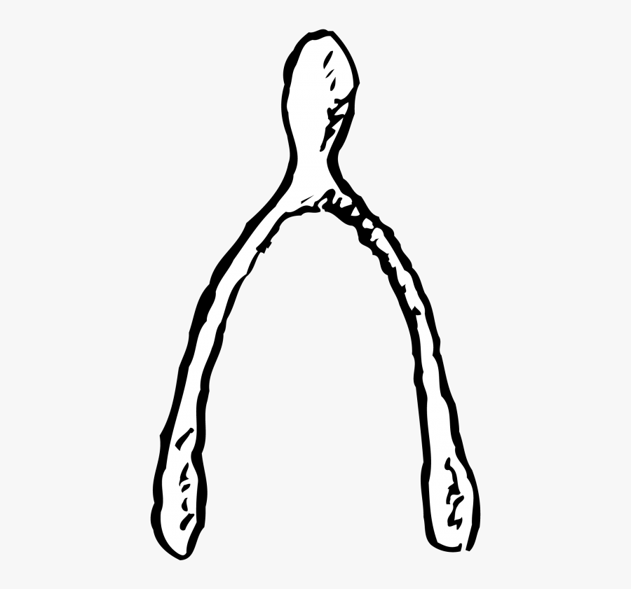 Wishbone Picture Stock - Wishbone Png , Free Transparent Clipart ...