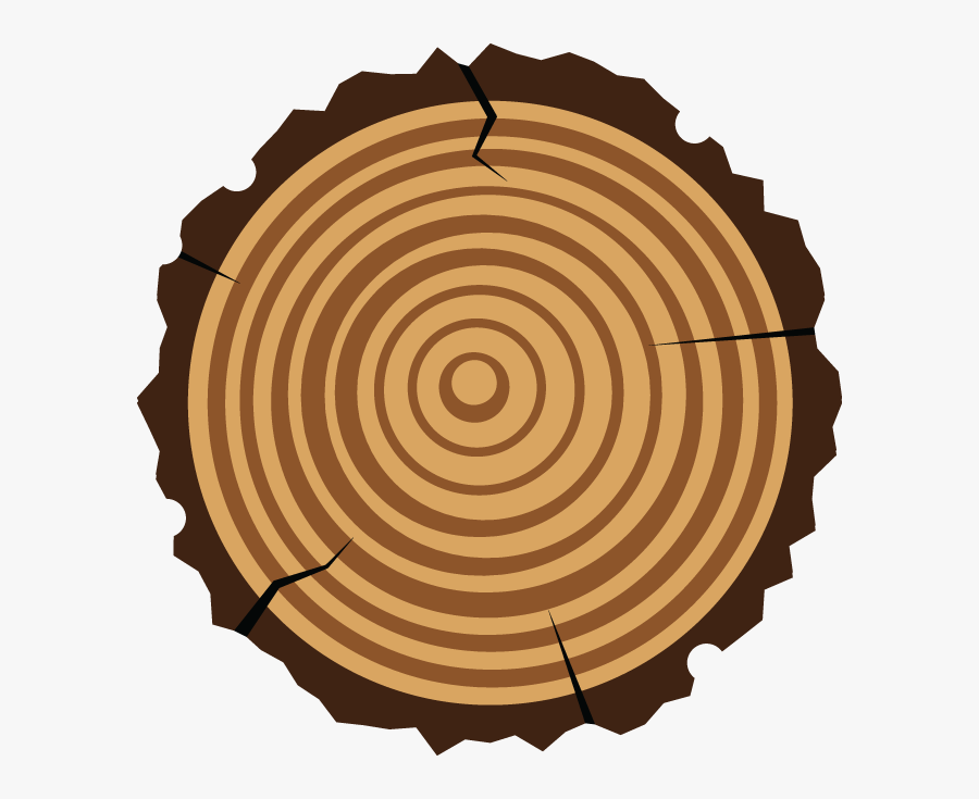 Tree Rings Png - Tree Rings Clip Art , Free Transparent Clipart ...