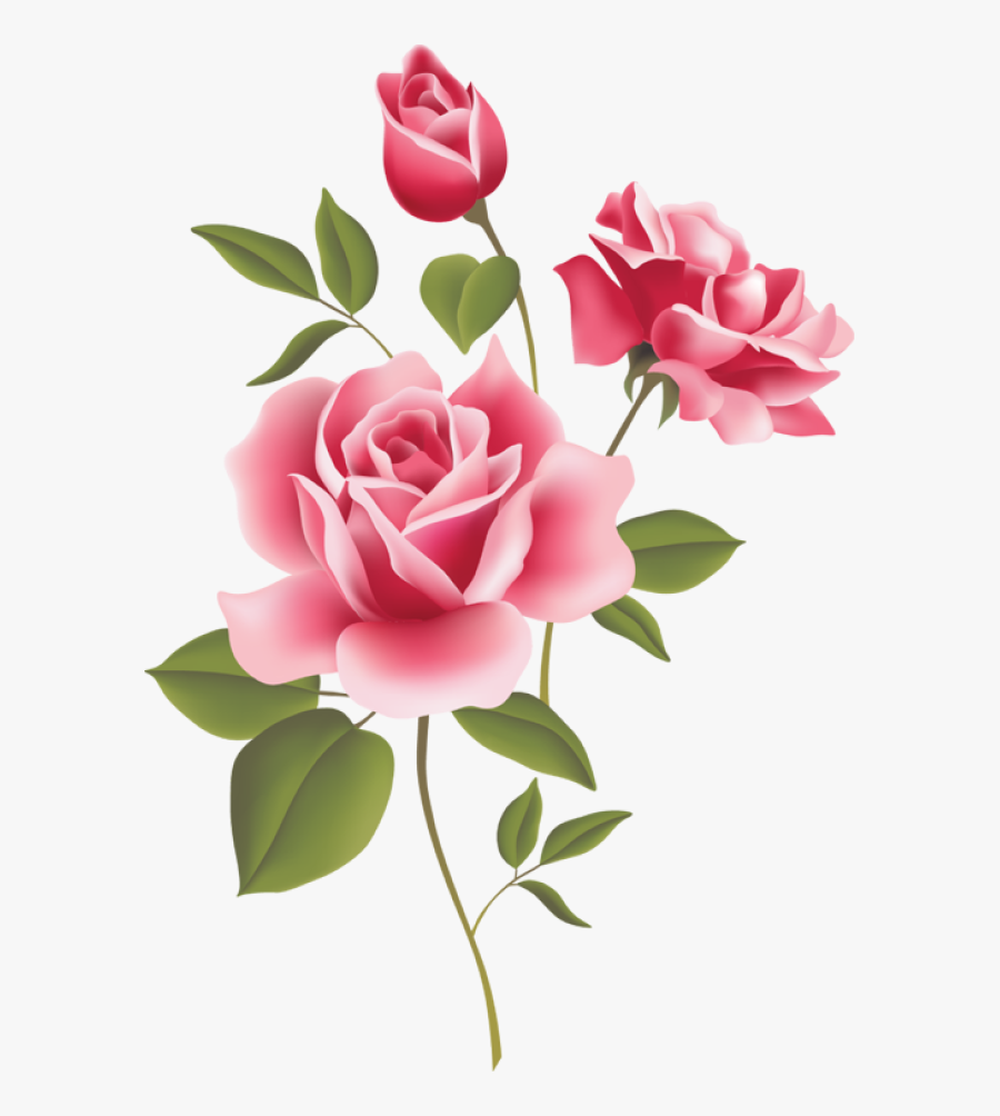 Pink Tea Rose Border Png , Free Transparent Clipart - ClipartKey