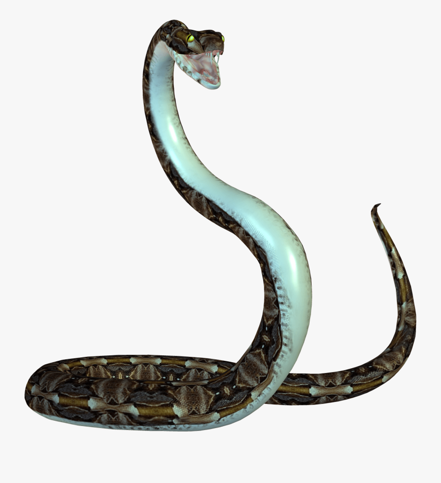 Transparent Background Snake Transparent , Free Transparent Clipart ...