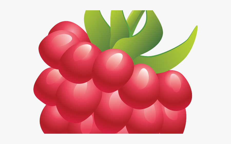 Raspberry Clipart Png , Free Transparent Clipart - ClipartKey