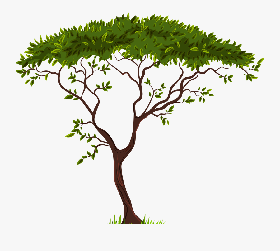 Exotic Tree Png Clip Art - Draw A African Tree , Free Transparent ...