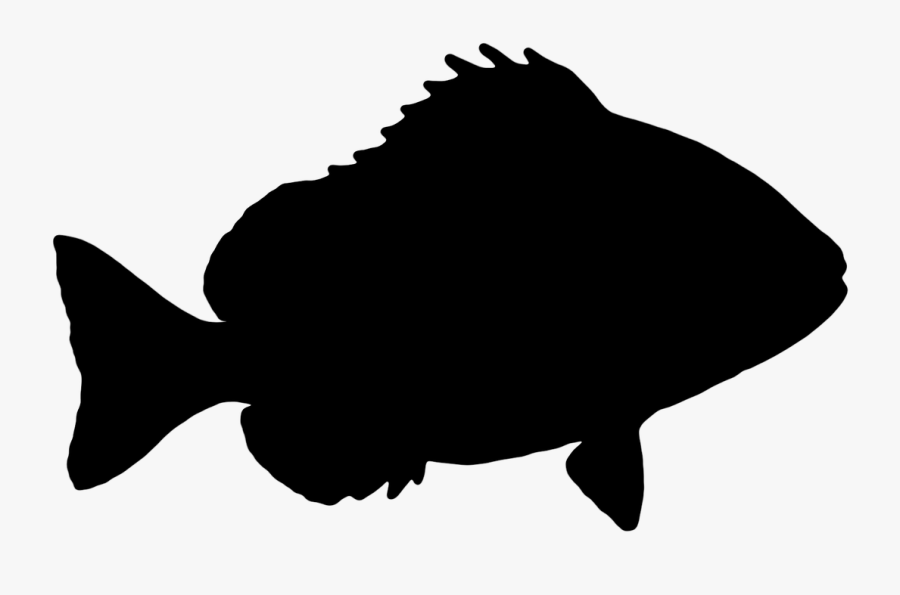 Silhouette Of Fish Clipart , Png Download - Fish Silhouette No ...
