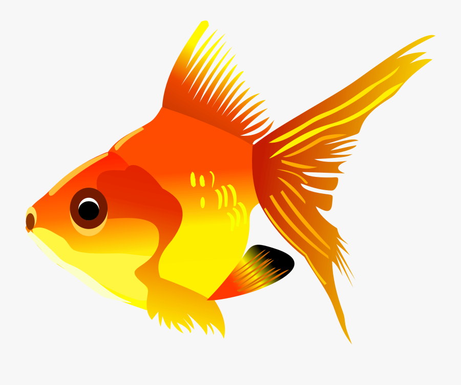 Fish Clipart Transparent Background Graphic Royalty - Transparent ...