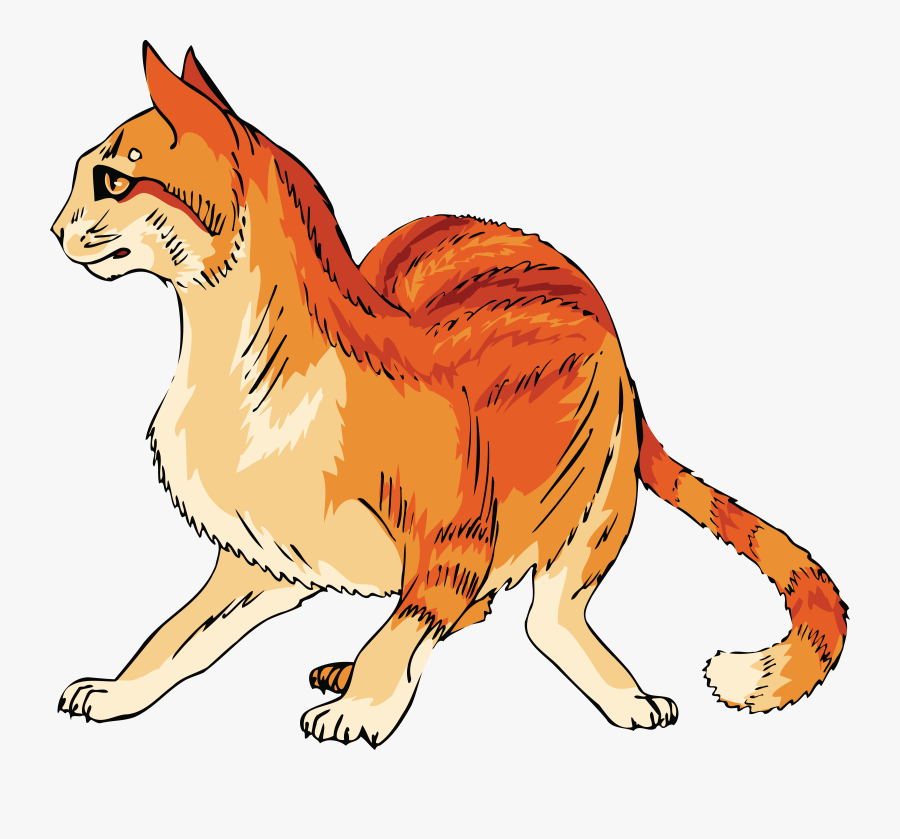 Free Clipart Of A Scared Orange Cat - Scared Orange Cat Clipart , Free ...