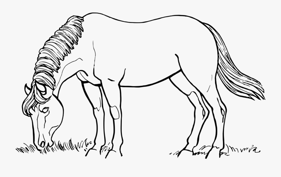 Clip Art Black And White Clipart Horse - Black And White Clip Art Horse ...
