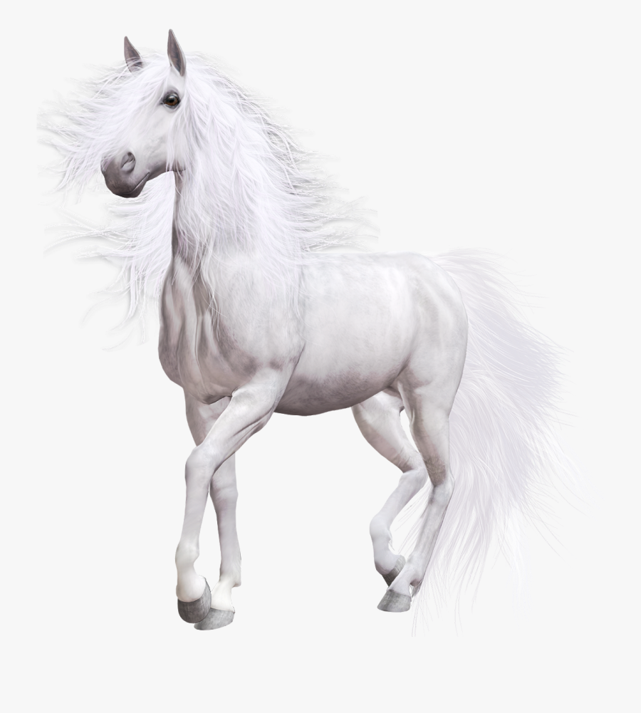 White Horse Png Clip Art - Portable Network Graphics , Free Transparent ... White Horse Png Clip Art - Portable Network Graphics , Free Transparent ...