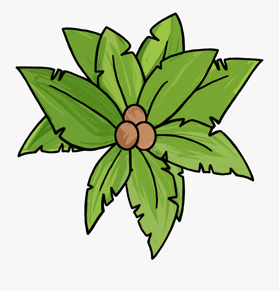 Transparent Palm Tree Top View Png - Top Of A Palm Tree , Free ...