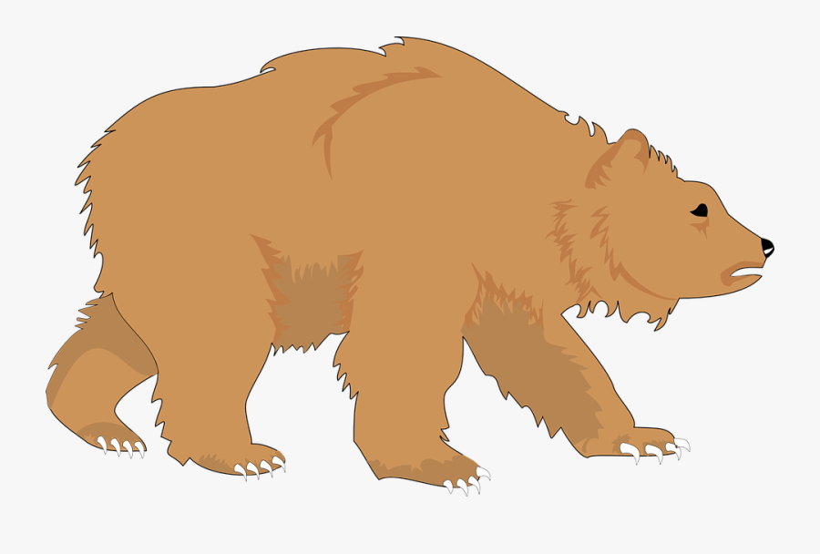 Brown Bear American Black Bear Polar Bear Clip Art - Clip Art Bear ...