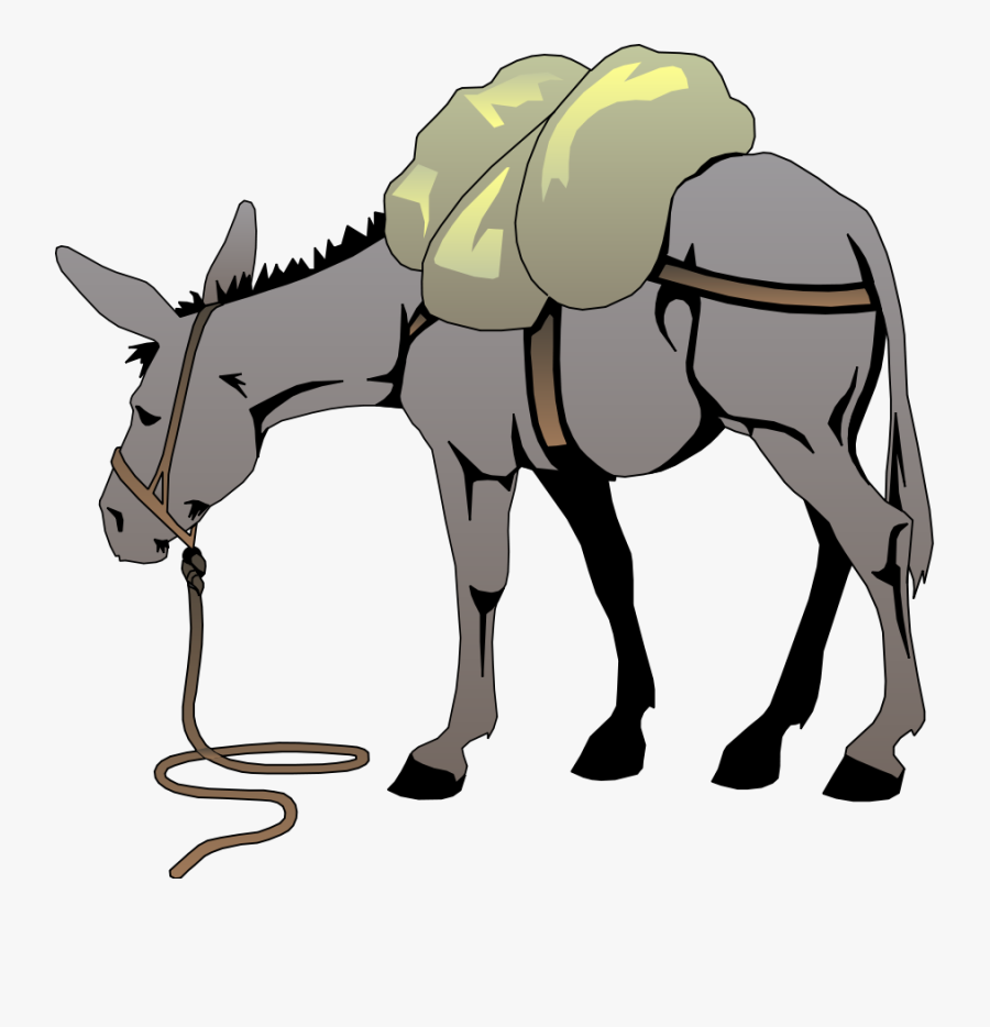 Donkey Clipart Graduation Cap - Donkey Clip Art , Free Transparent ...