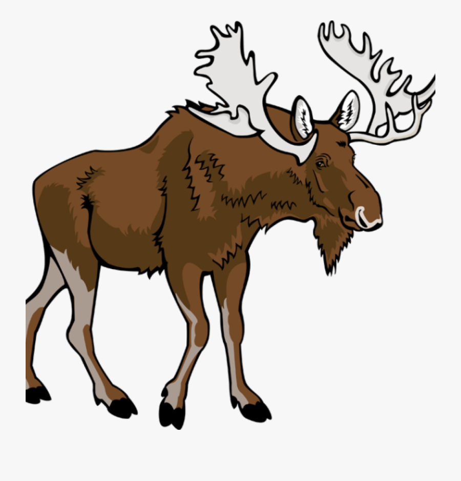 Moose Clipart Graduation Cap Clipart Hatenylo - Moose Clipart Png ...