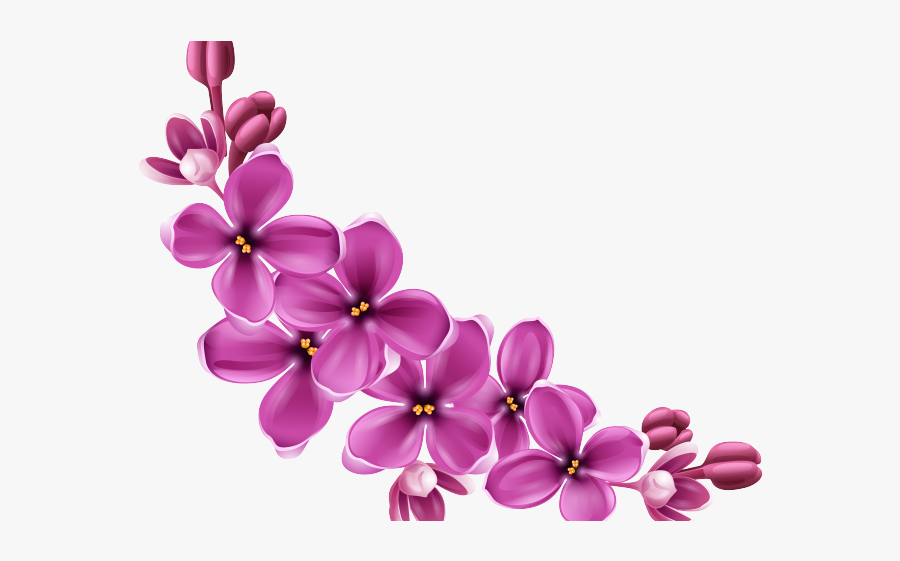 Flowers Borders Clipart Clear Background - Transparent Background ...