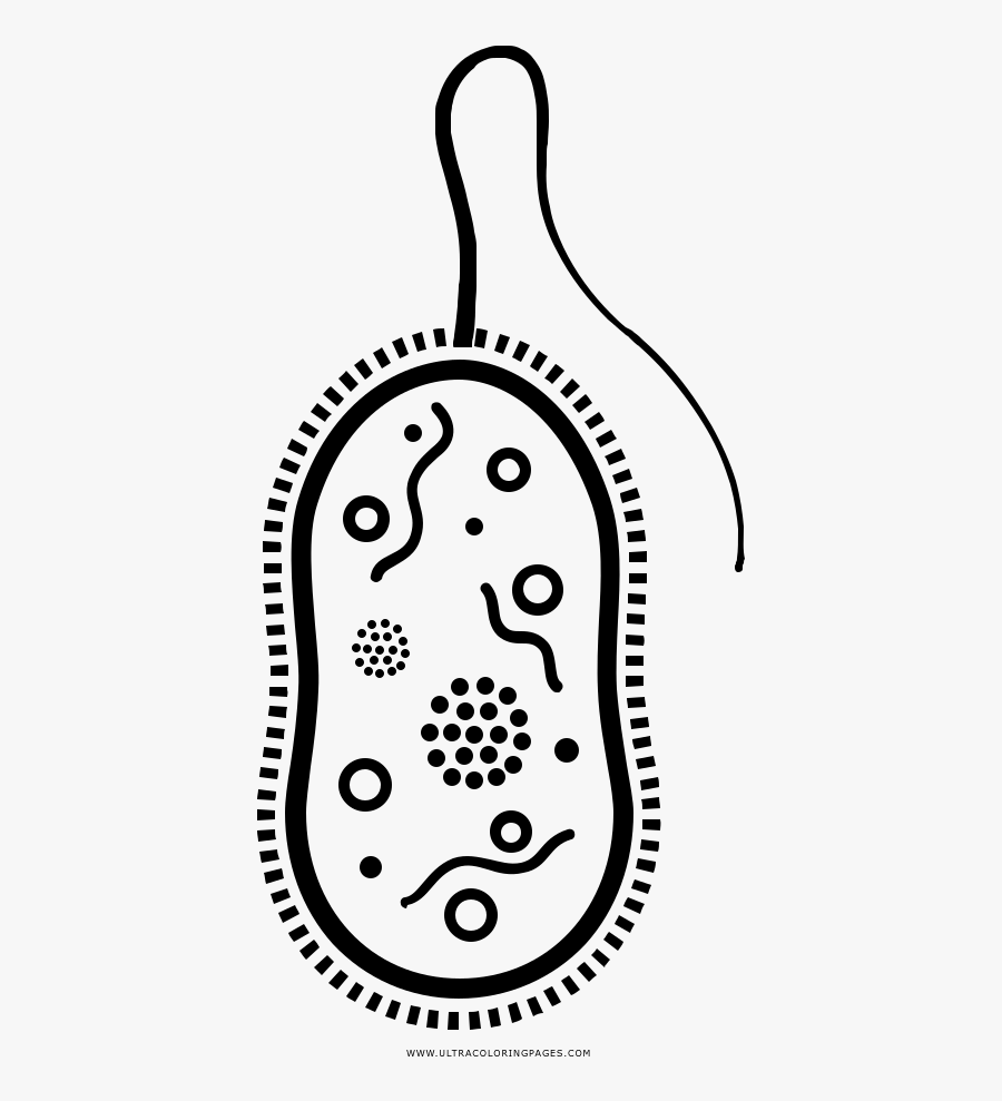 Pages Of Bacterial Cells Coloring Pages