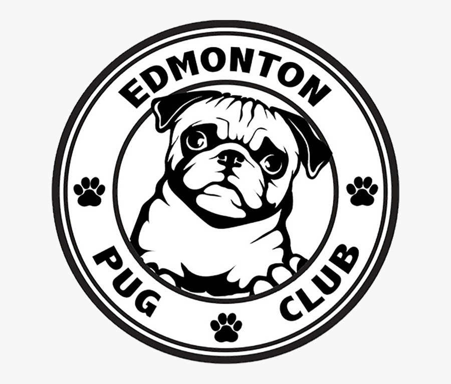 Vector Free Library Pug Black And White Clipart - Pug Logo , Free ...