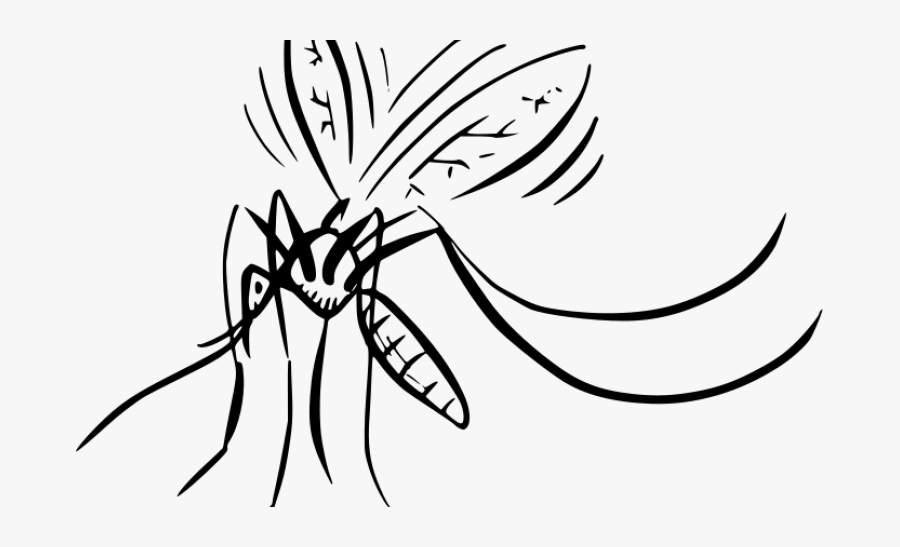 Mosquito - Mosquito Svg , Free Transparent Clipart - ClipartKey