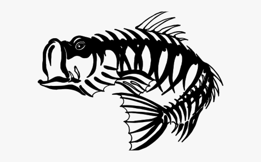 Bass Skeleton Cliparts - Skeleton Bass , Free Transparent Clipart ...