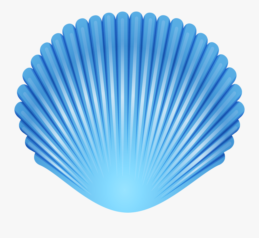 Transparent Seashells Png - Transparent Background Seashells Clipart ...