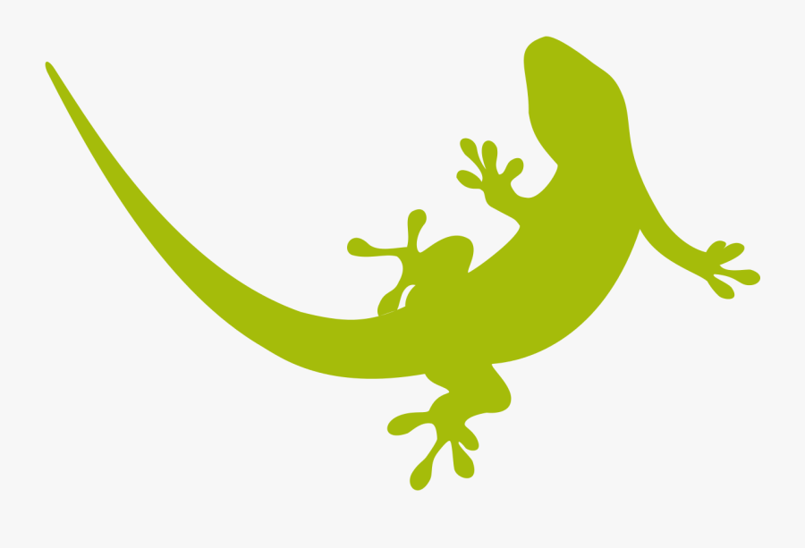 Transparent Lizard Png - Transparent Background Lizard Clipart , Free ...
