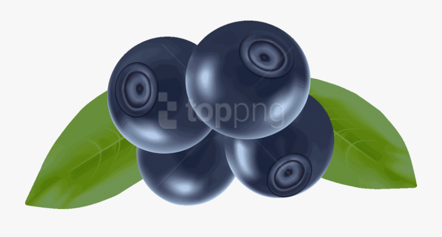 Download Blueberries Png Photo - Fruits Vector , Free Transparent ...