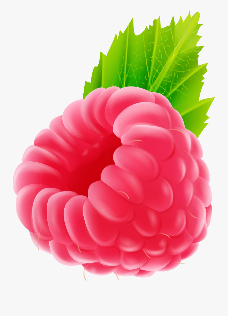 Png Clip Art Image - Raspberry Clipart , Free Transparent Clipart ...