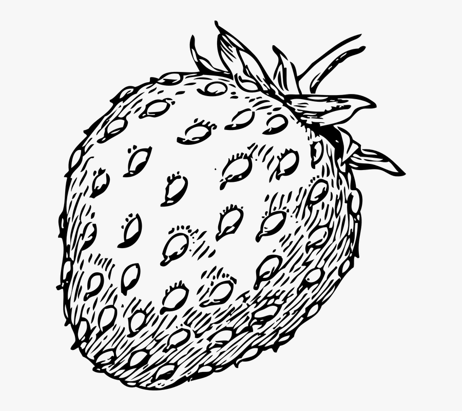 Strawberry, Fruit, Food, Berries, Sweet, Edible - Strawberry Clip Art ...