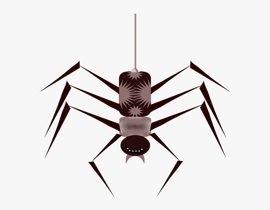 Cartoon, Bugs, Spider, Bug, Free, Web, Insect, Insects - Cartoon Spider ...